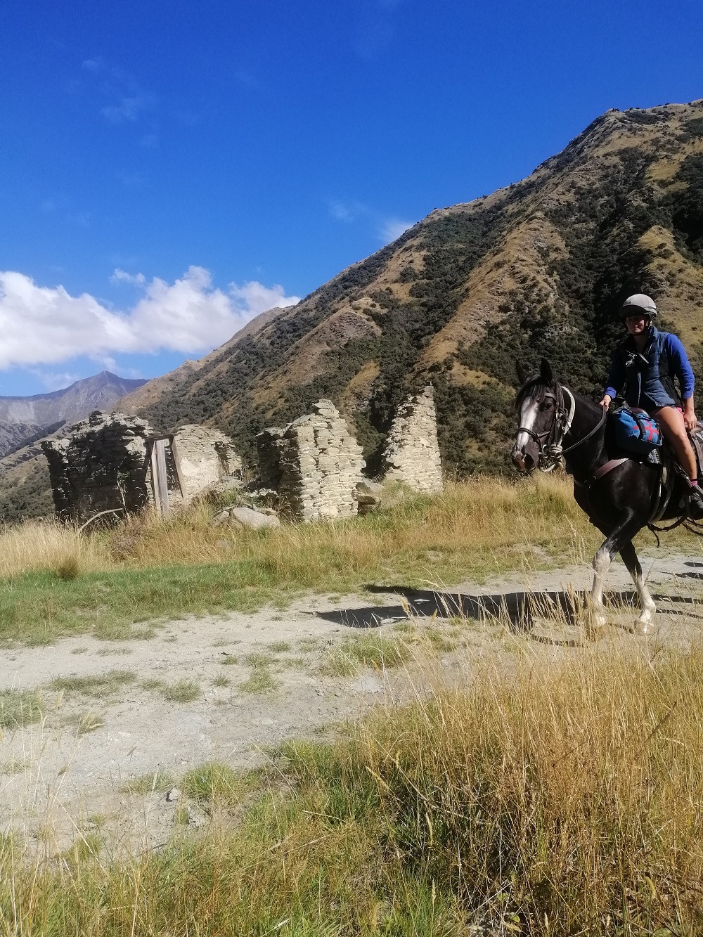 Bespoke Ben Lomond Luxury Trail - Adventure Horse Trekking