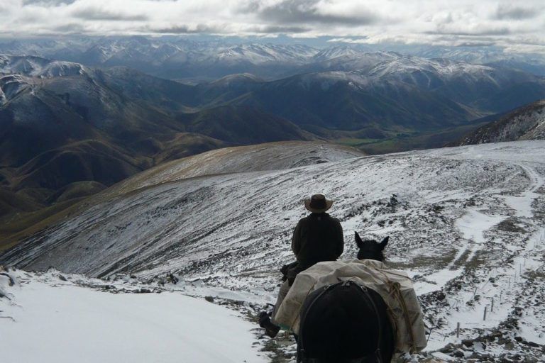 Horseback Holidays